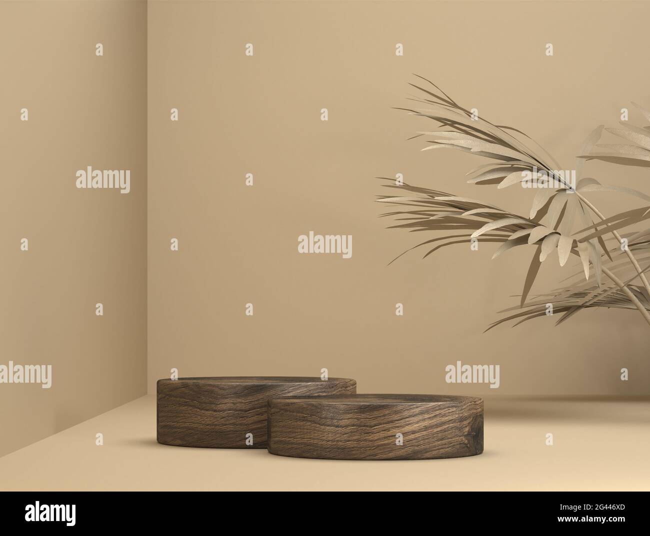 Abstract wooden template as presentation stage with leaf shadow in ...