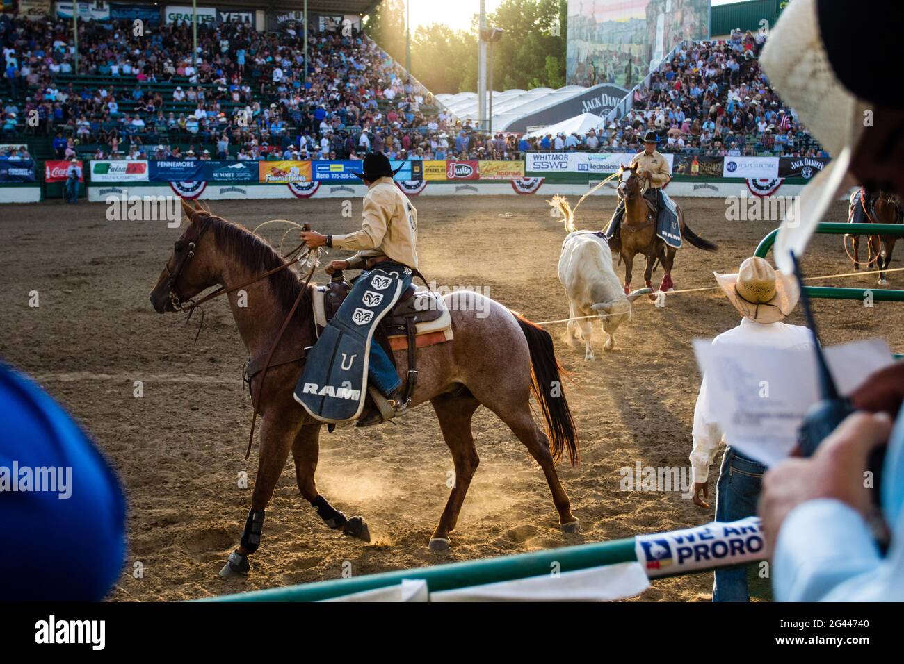 Reno rodeo hi-res stock photography and images - Alamy