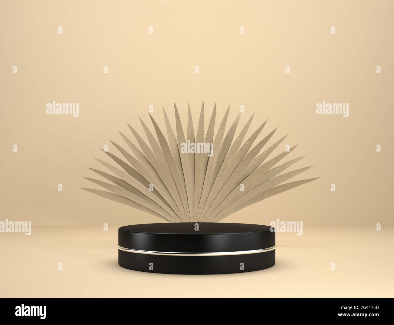 Abstract template as presentation stage with leaf in front of ...