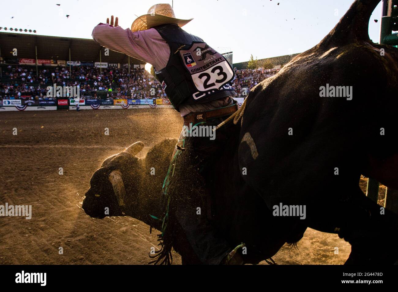Rodeo bull party hi-res stock photography and images - Alamy
