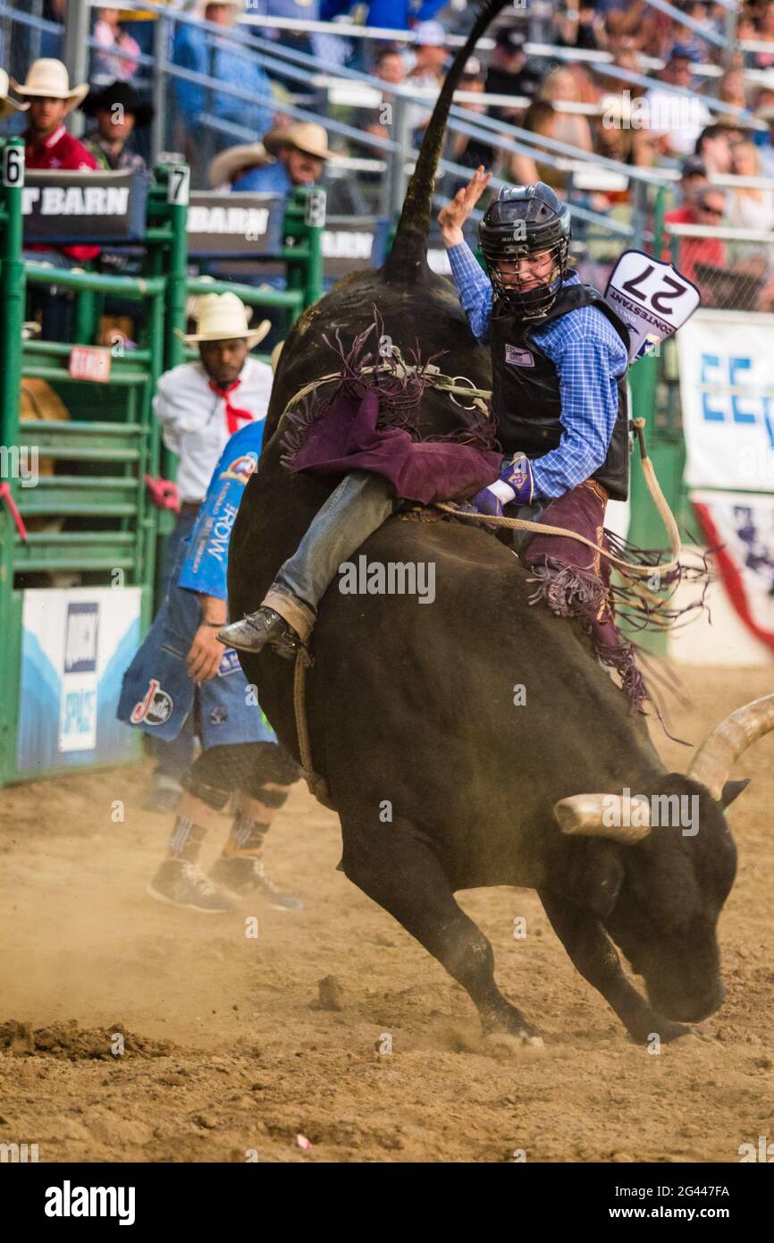 Maverick Potter seen on Rosser Rodeo company's Wrangler Slinger during ...