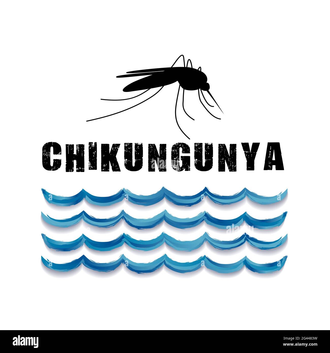 Chikungunya mosquito hi-res stock photography and images - Alamy