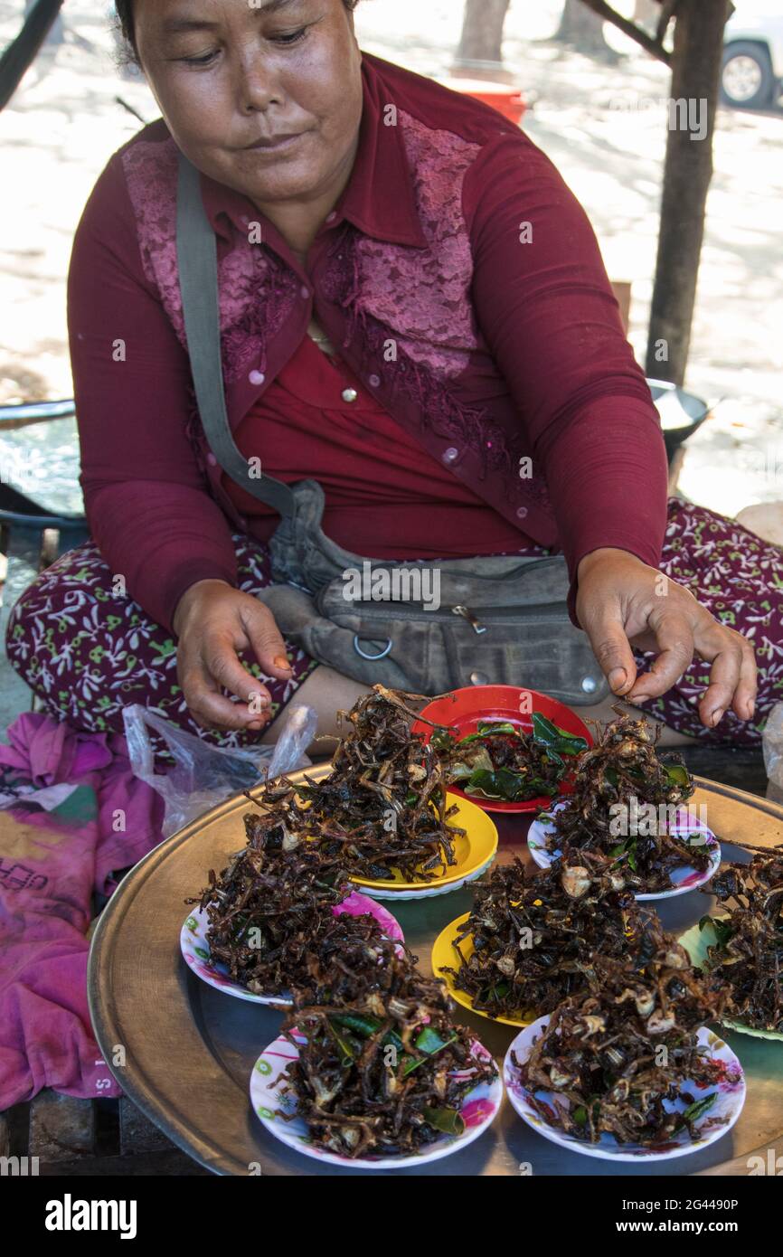 Cambodian barbecued frogs hi-res stock photography and images - Alamy