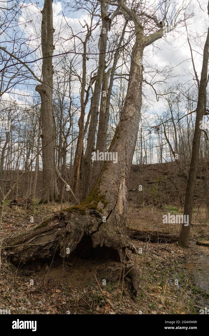 Metea county park hi-res stock photography and images - Alamy