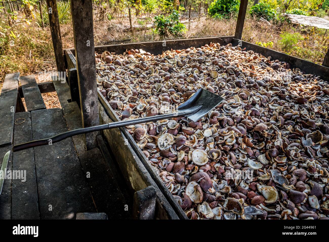 Drying copra hi-res stock photography and images - Alamy