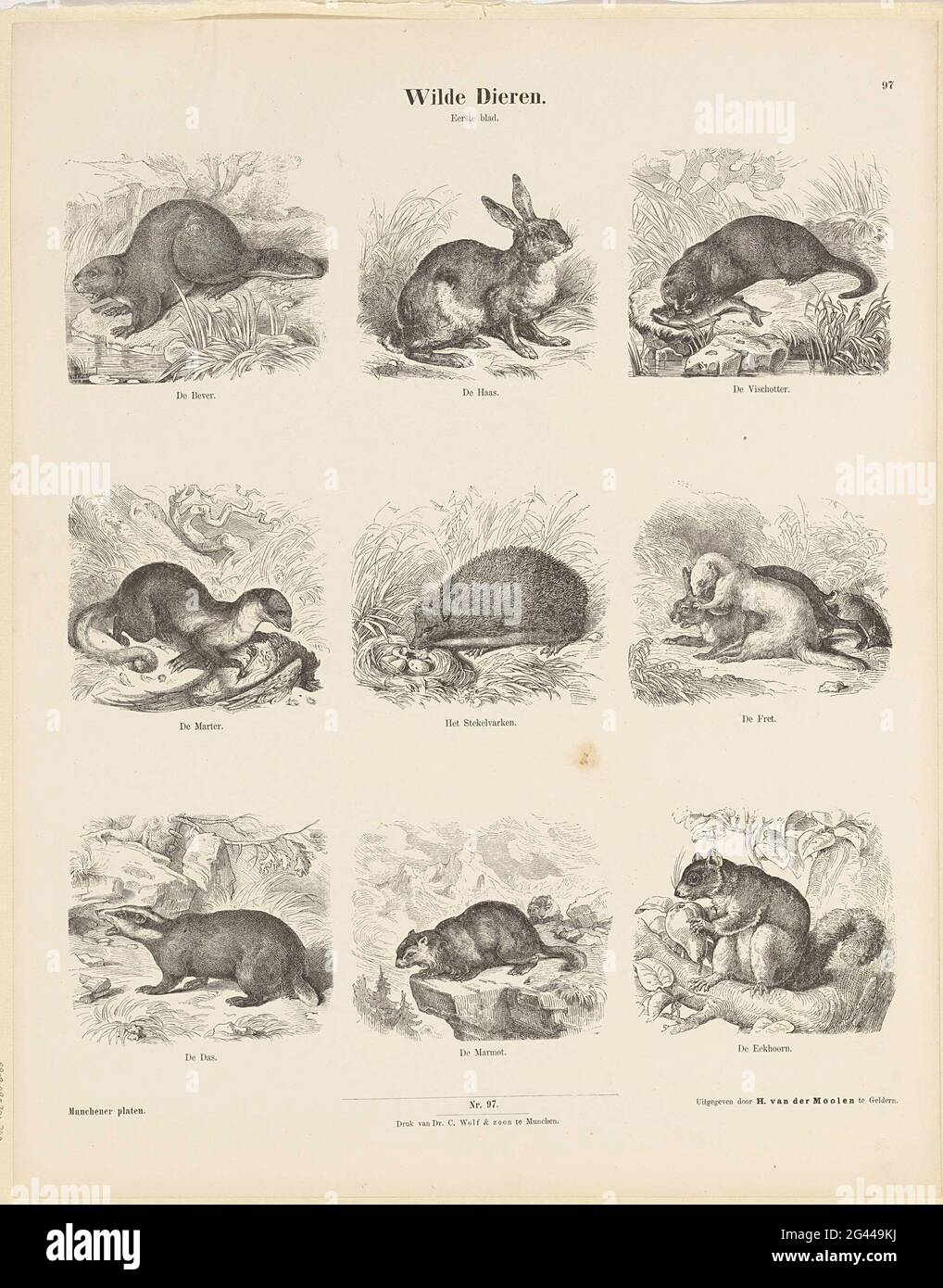 Wild animals; Munchener plates. Leaf with 9 performances of animals ...