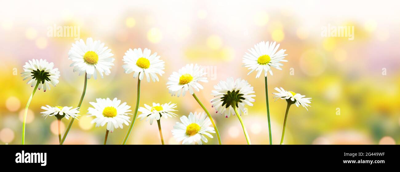 Natural summer scenery hi-res stock photography and images - Alamy
