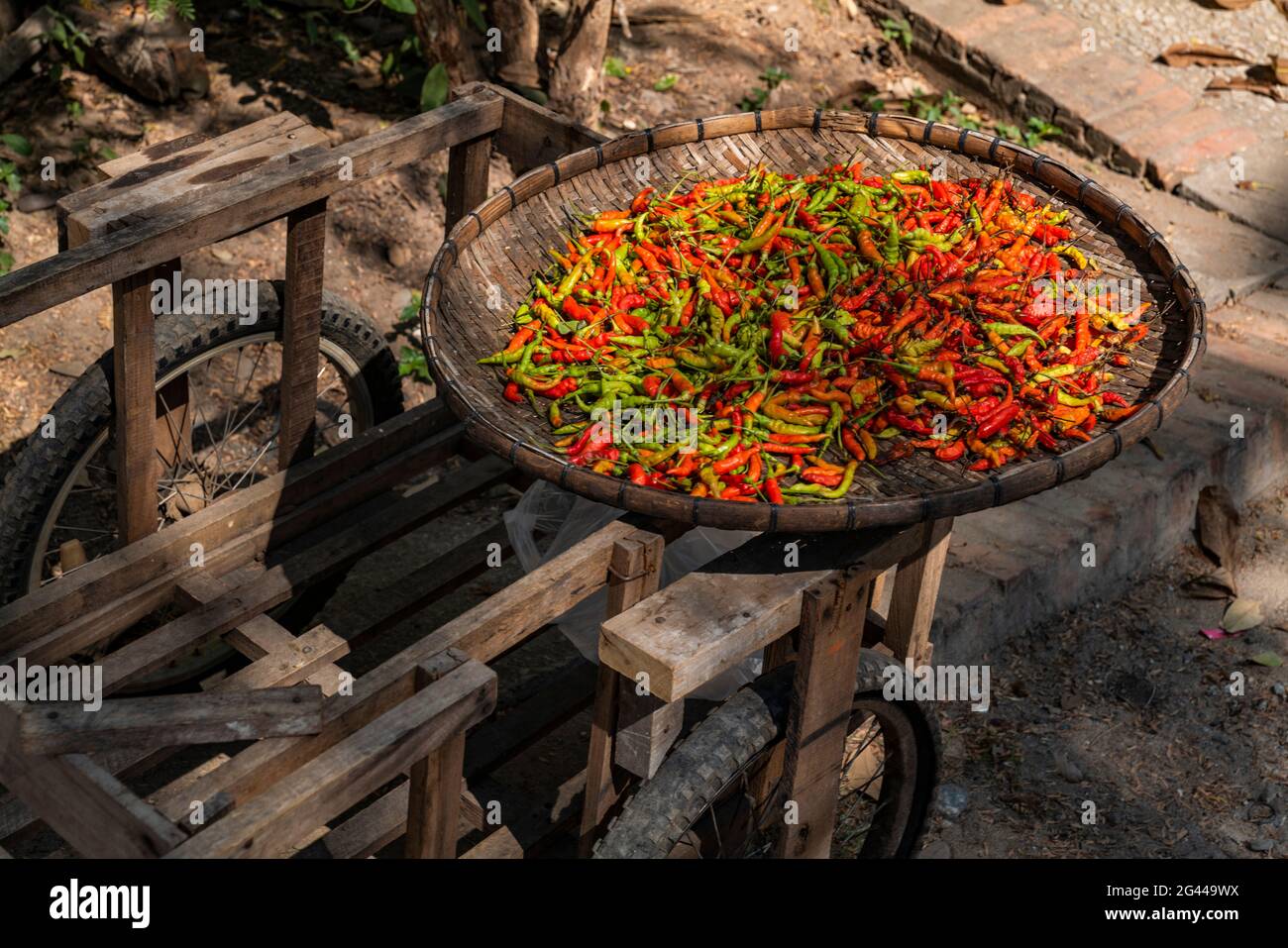 Hot red chillies drying in the sun at the street market, Luang Prabang ...