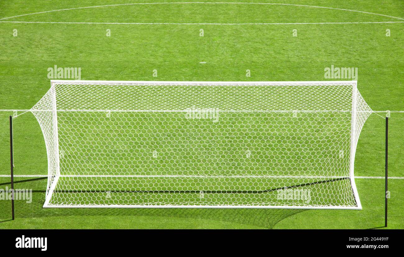 Soccer stadium arena with natural green grass Stock Photo - Alamy