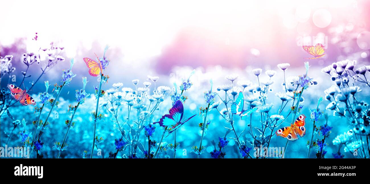 Nature Butterfly Garden Wallpaper