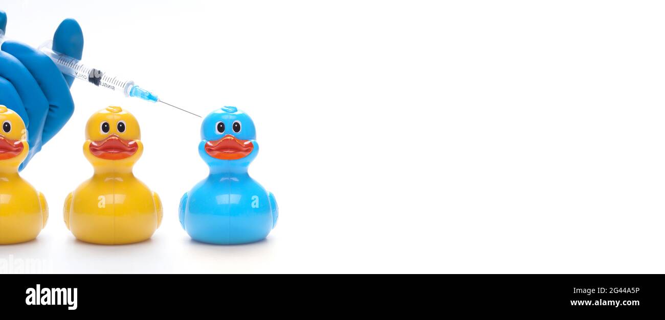 Medical syringe with a needle for vaccination on a duck toy Stock Photo ...