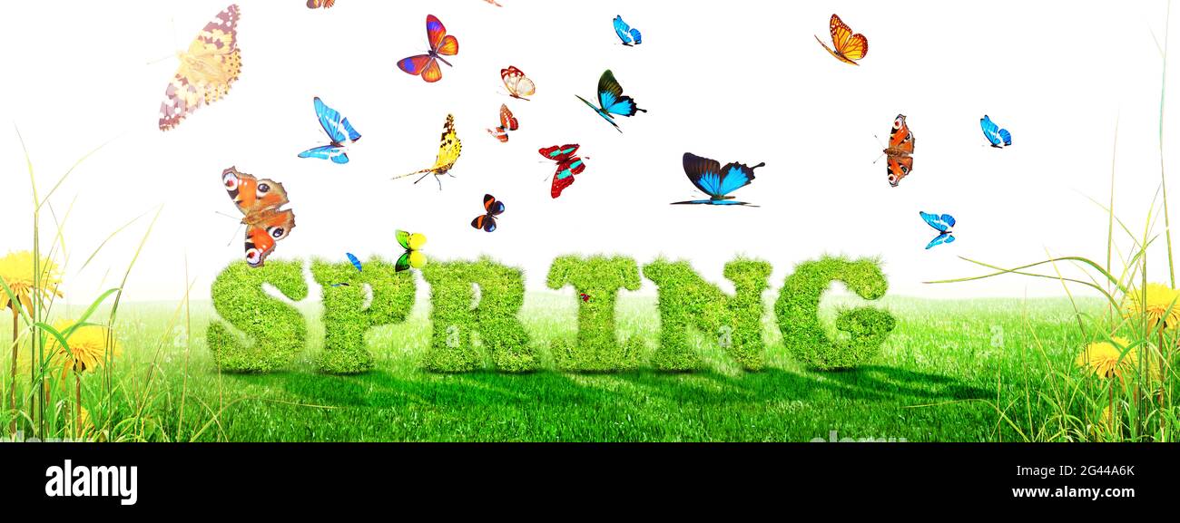 Springtime concept text word hi-res stock photography and images - Alamy