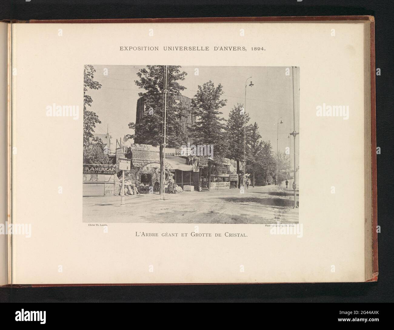 Exhibition of a gigantic tree and a crystal cave at the world ...