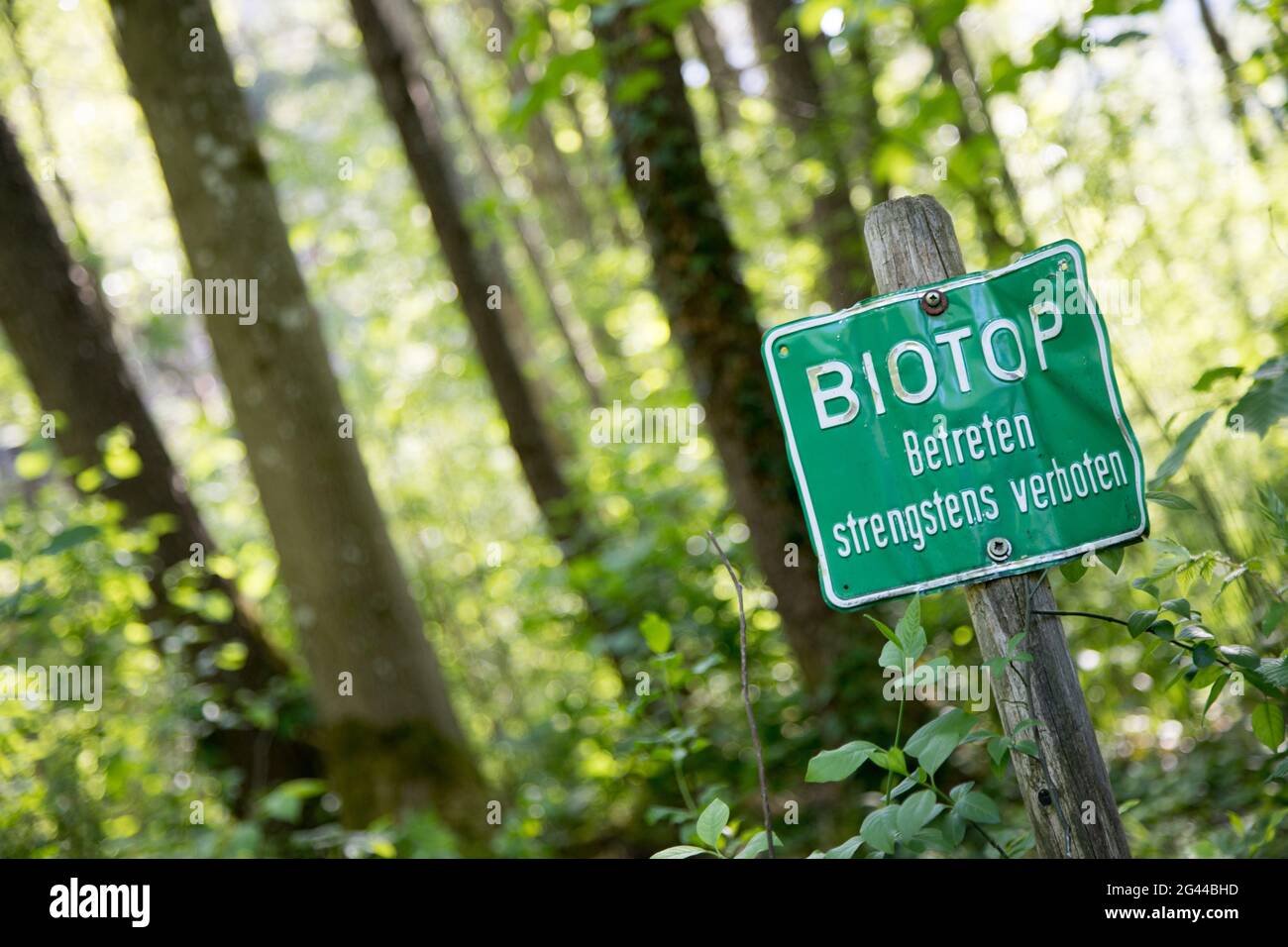 Nature reserve area. â€œBiotop. Betreten strengstens verbotenâ€ Stock ...