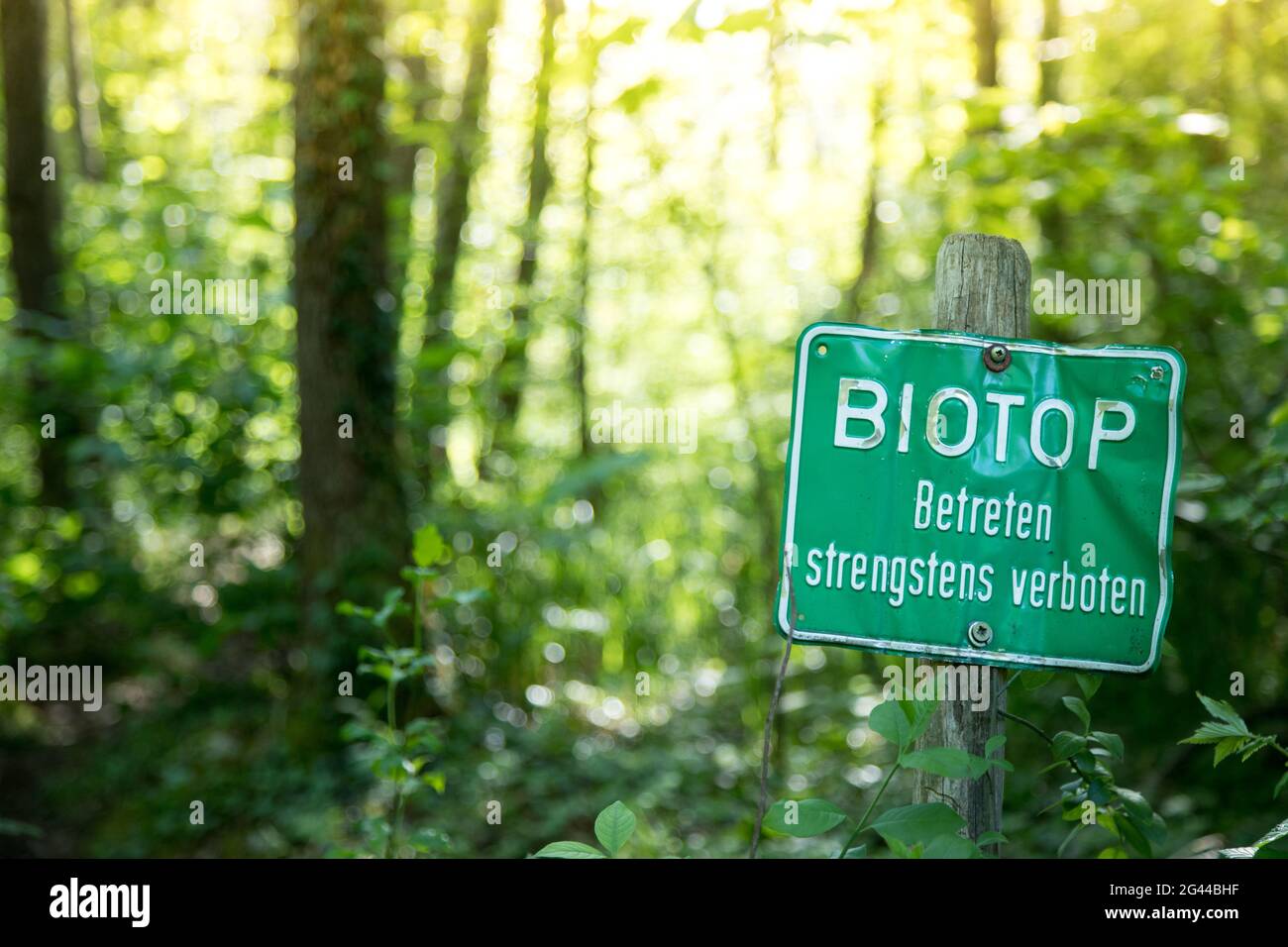 Nature reserve area. â€œBiotop. Betreten strengstens verbotenâ€ Stock ...