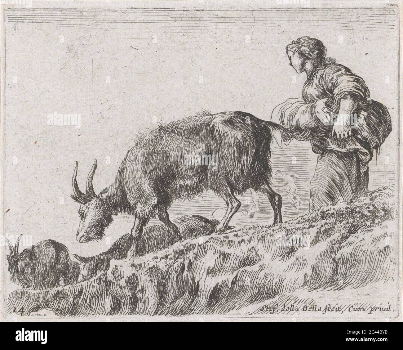 Goats with guardian; Different animals; Diversi Animali. Three goats ...