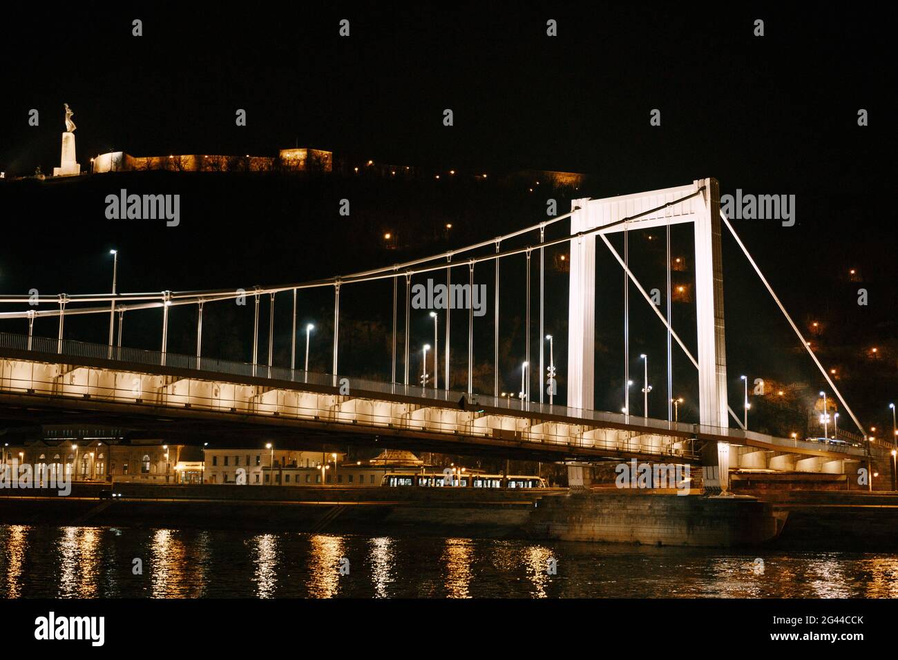 Elizabeth bridge in Budapest close up at night Stock Photo - Alamy