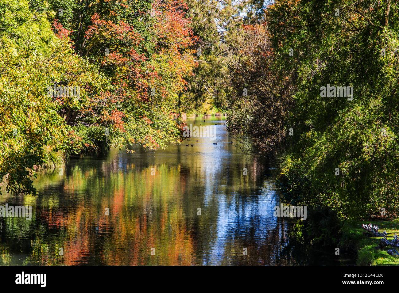 Shady river hi-res stock photography and images - Alamy