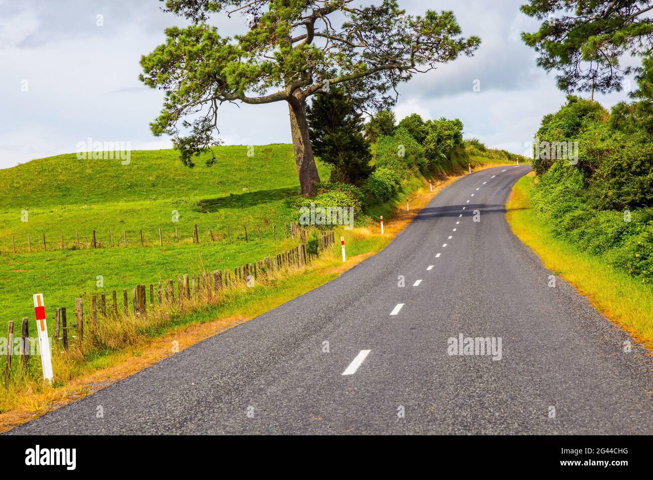 Asphalt road among green hi-res stock photography and images - Alamy