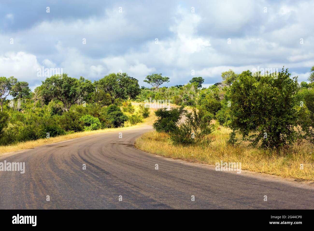 Narrow photo hi-res stock photography and images - Alamy