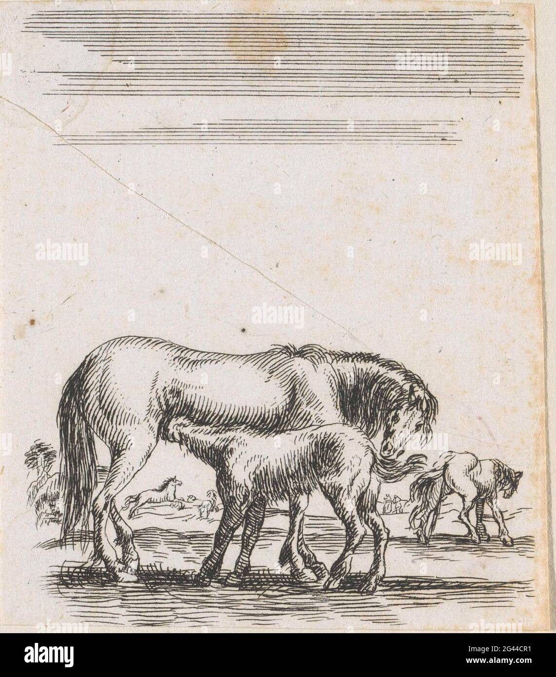 Singing horse with foal in a landscape with lake horses; Various ...