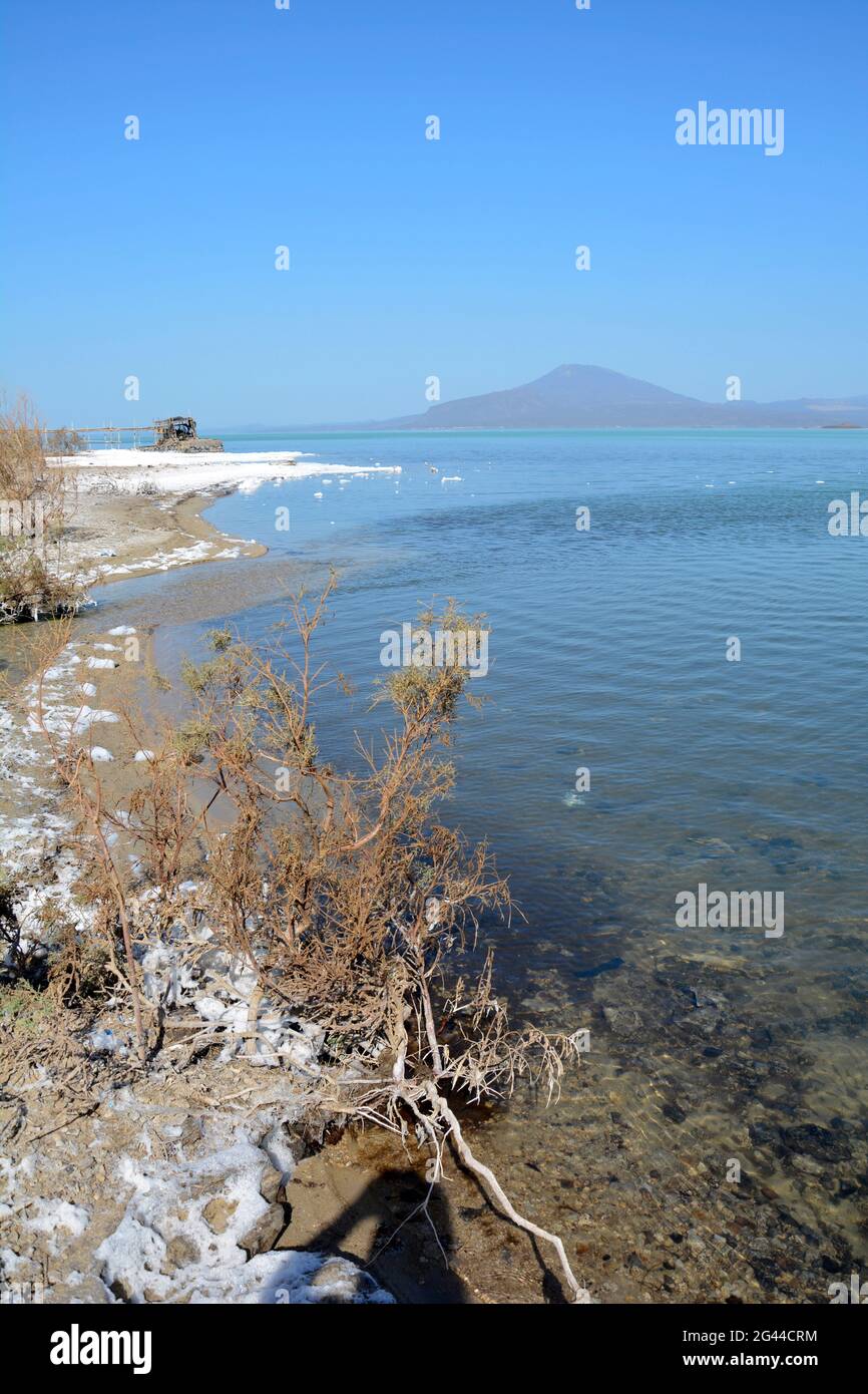 Ethiopia; Afar region; Danakil Desert; crystallized salt on the shores ...