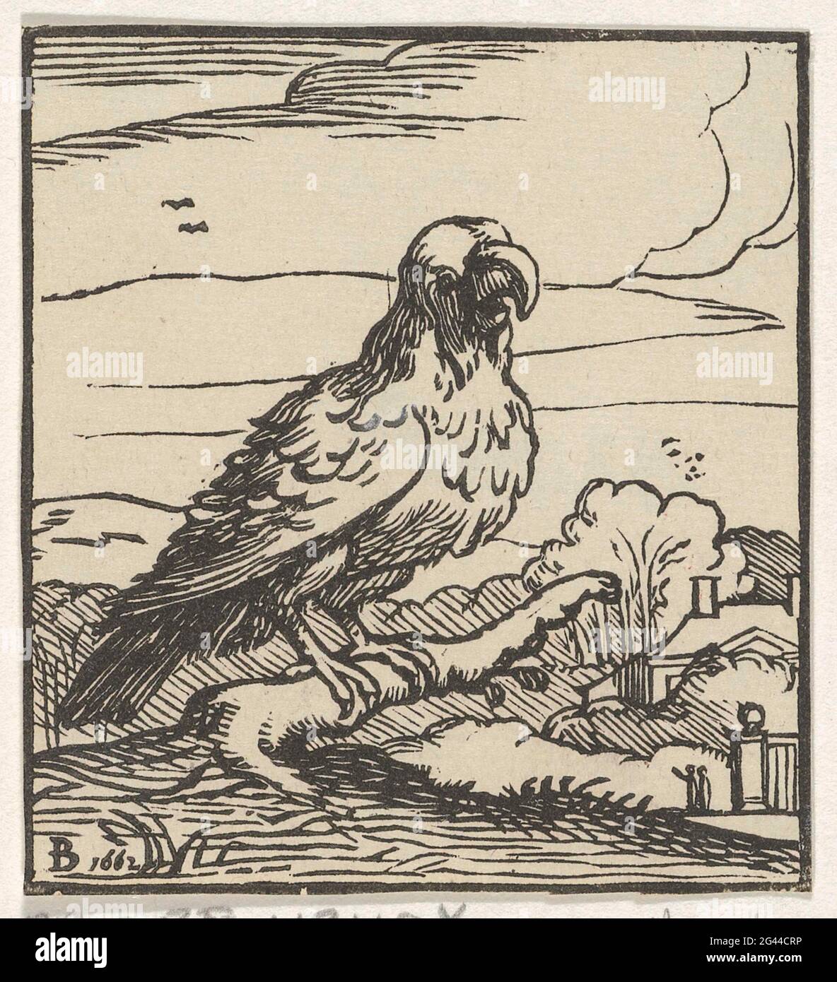 Bird of prey; Different bird species Stock Photo - Alamy