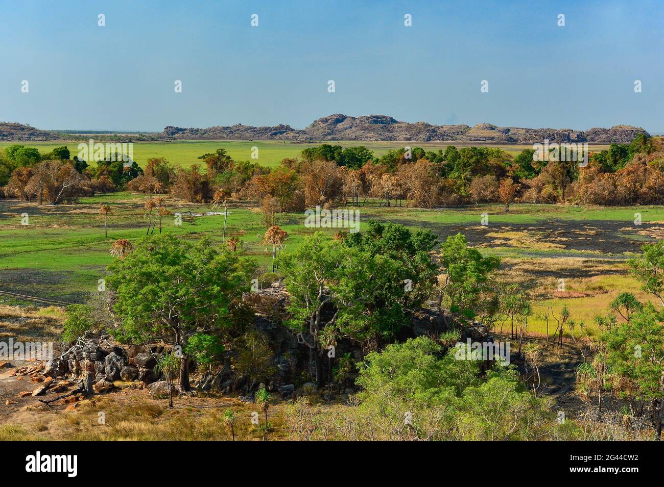 Typical landscape with rocks and gum trees, Kakadu National Park ...