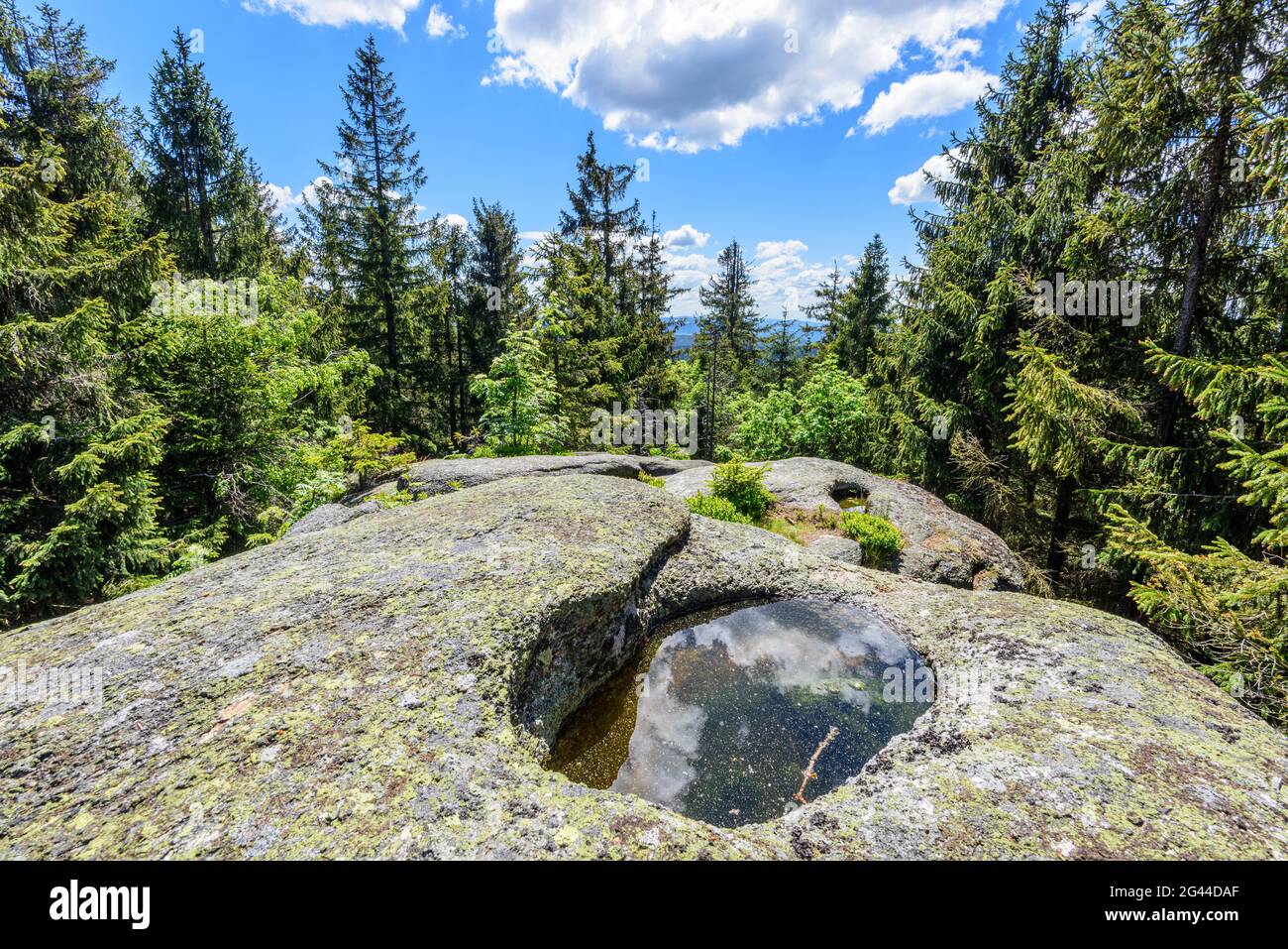 Shell stone in the Bohemian Forest, Upper Austria, Austria Stock Photo ...