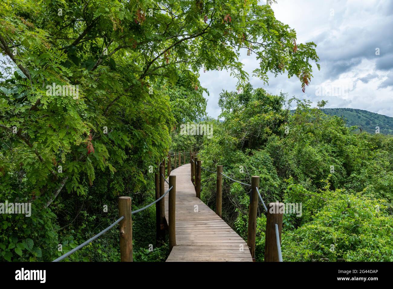 Wooden walkway leads to luxury tent accommodations at the luxury tented ...