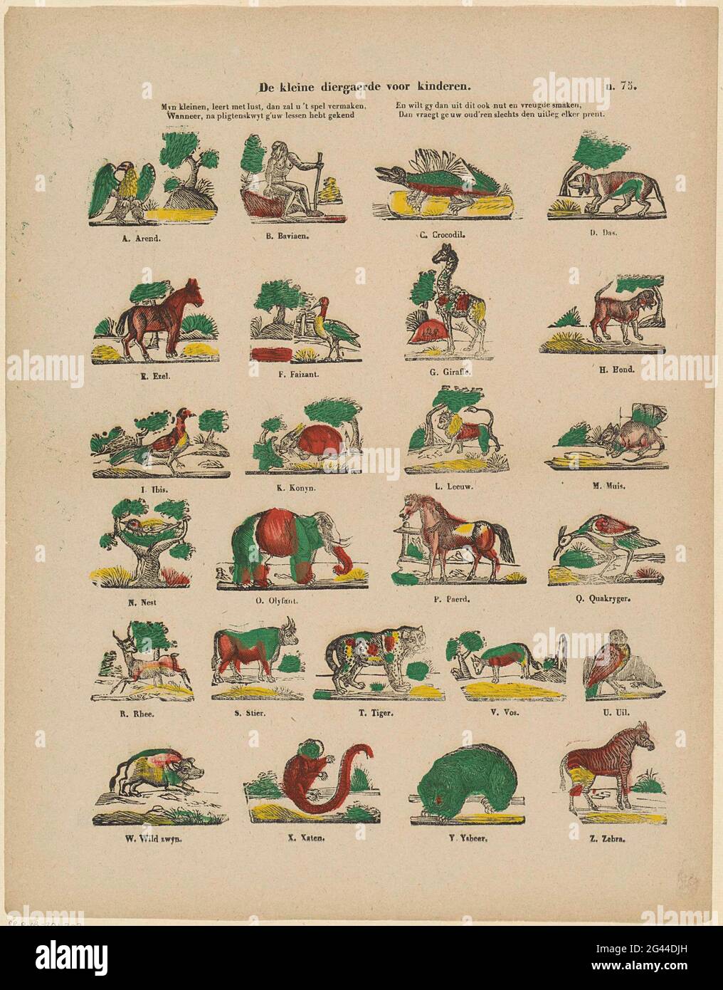 The small animal gaze for children. Sheet with 24 representations of ...