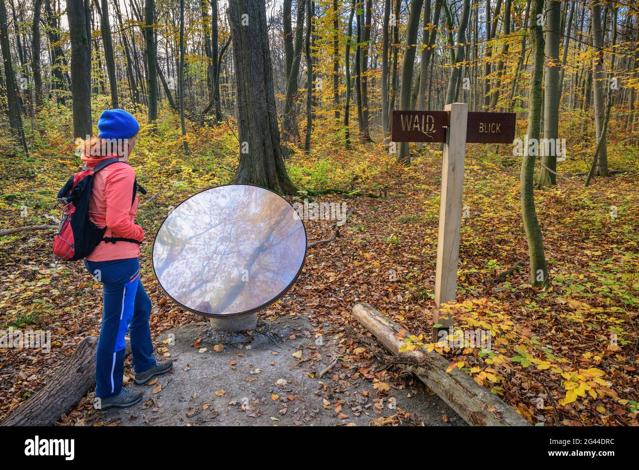50 looks in the mirror photo hi-res stock photography and images - Alamy