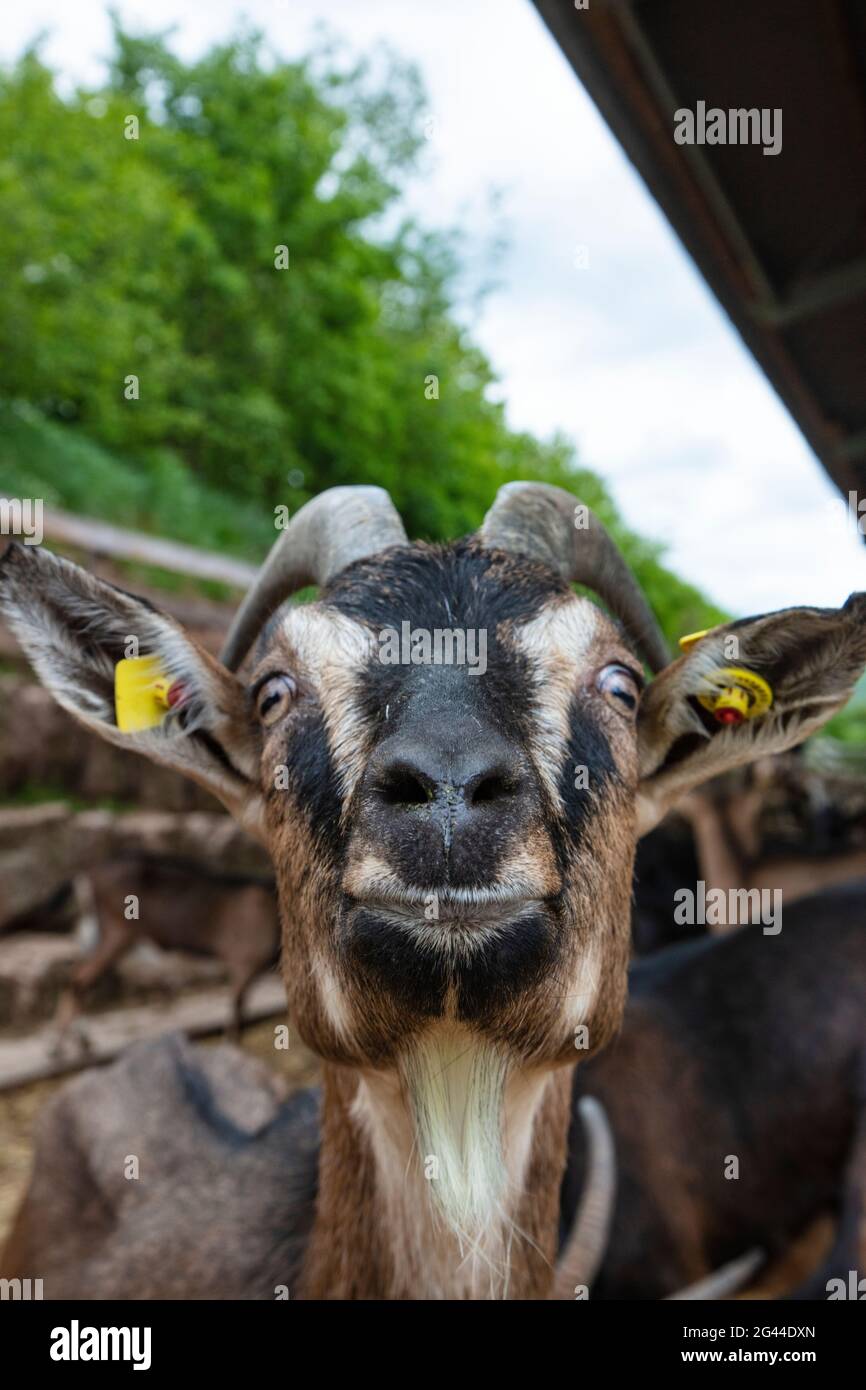 Ecological travels hi-res stock photography and images - Alamy