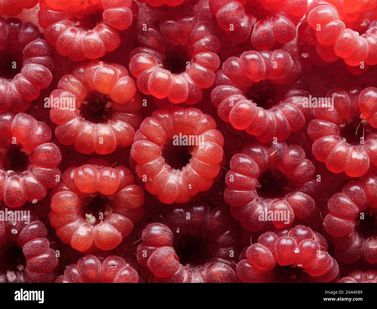Raspberries top view hi-res stock photography and images - Alamy