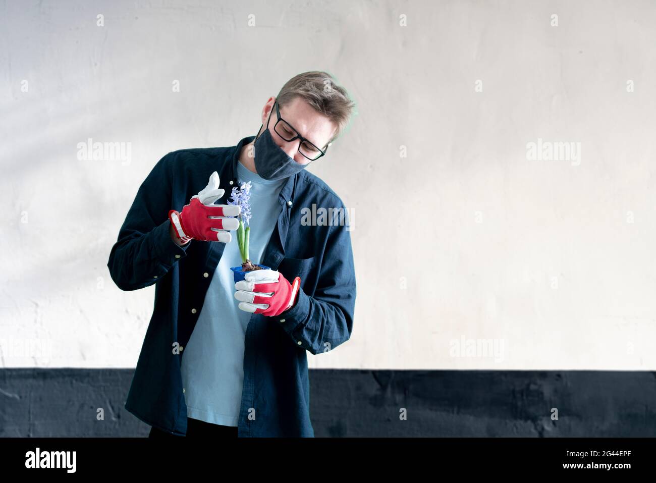 male worker in orangery with plant, professional occupation, men at ...