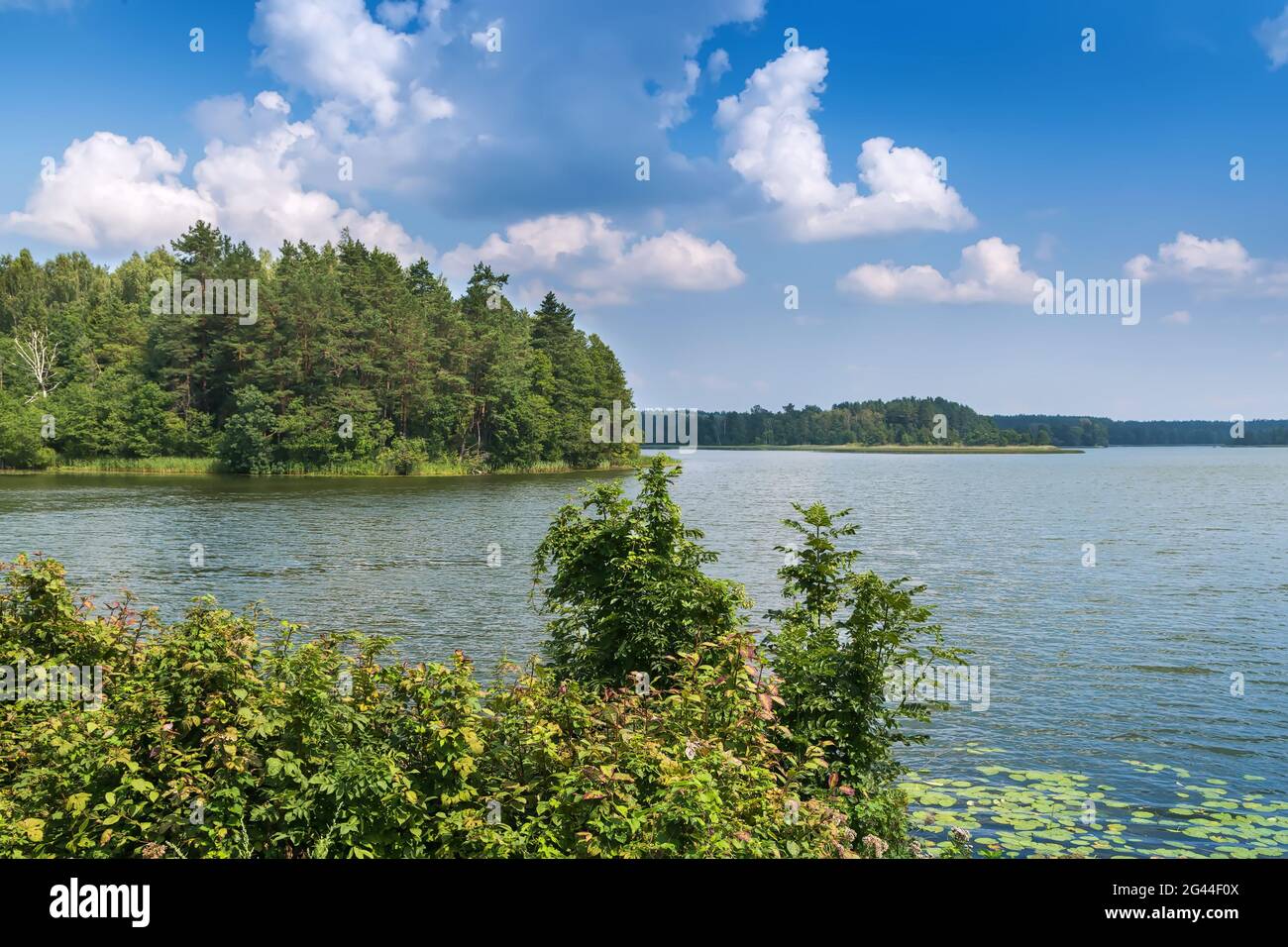 Rural lithuanian nature hi-res stock photography and images - Alamy
