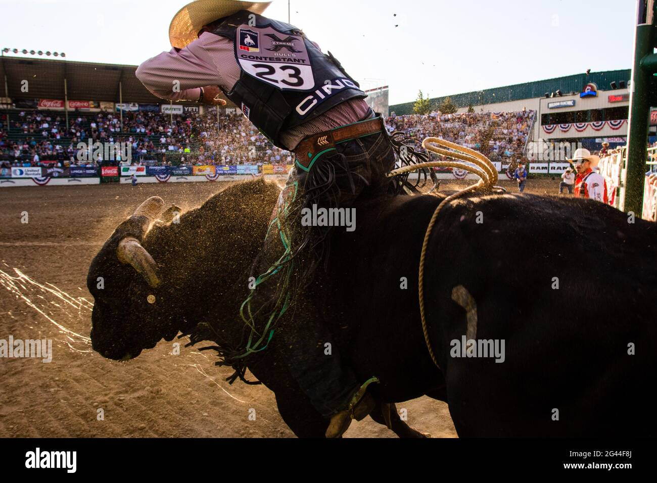 Reno, USA. 17th June, 2021. Laramie Mosley rides War Party from Diamond ...
