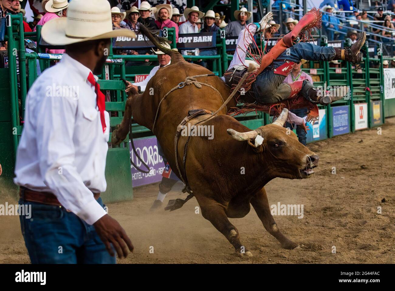 Bullfighting jacket hi-res stock photography and images - Alamy