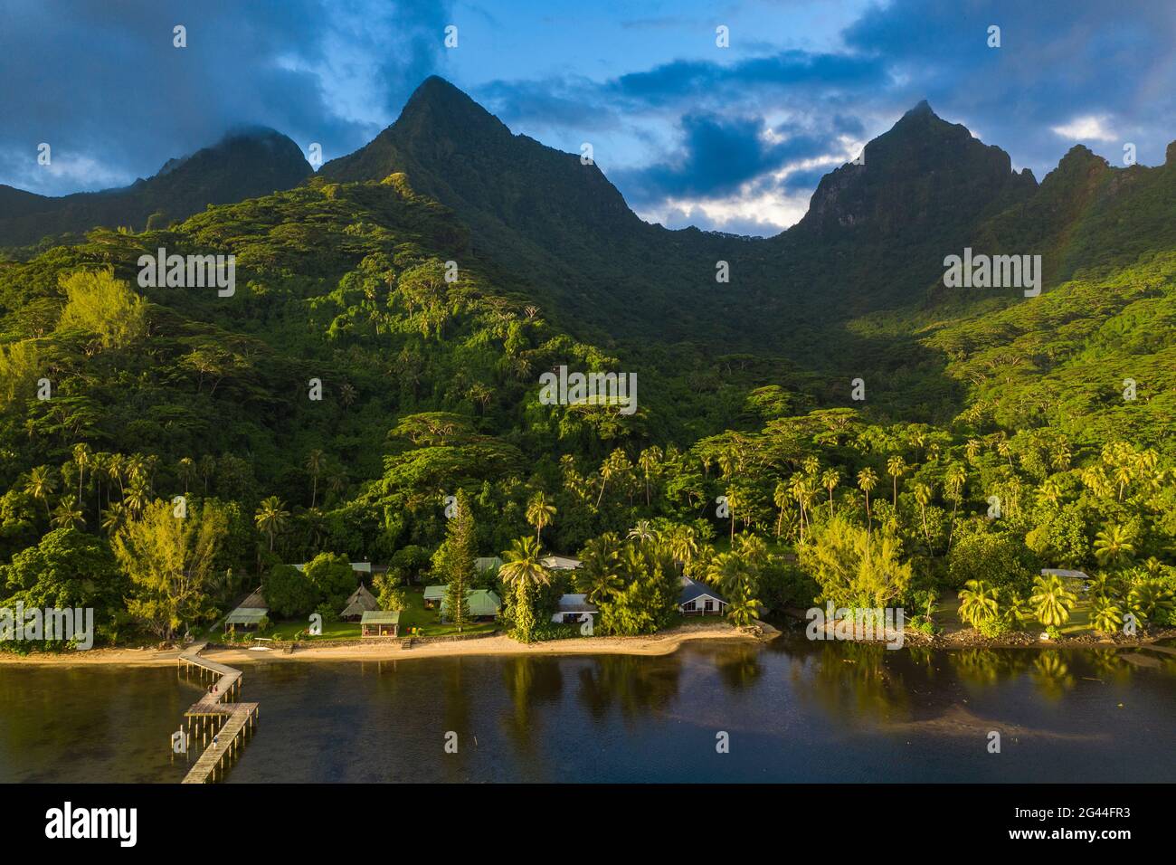 Aerial view of Linareva Beach Resort with trees, lush vegetation and ...