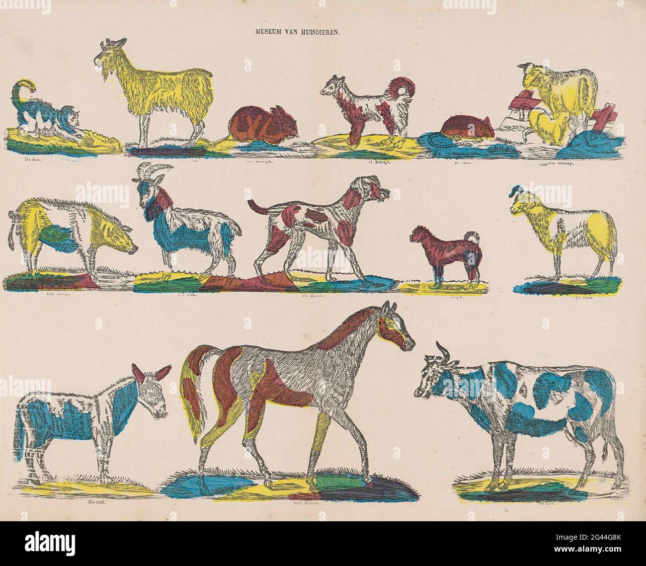 Pets Museum. Sheet with 3 hotthrizontal rows with performances of ...