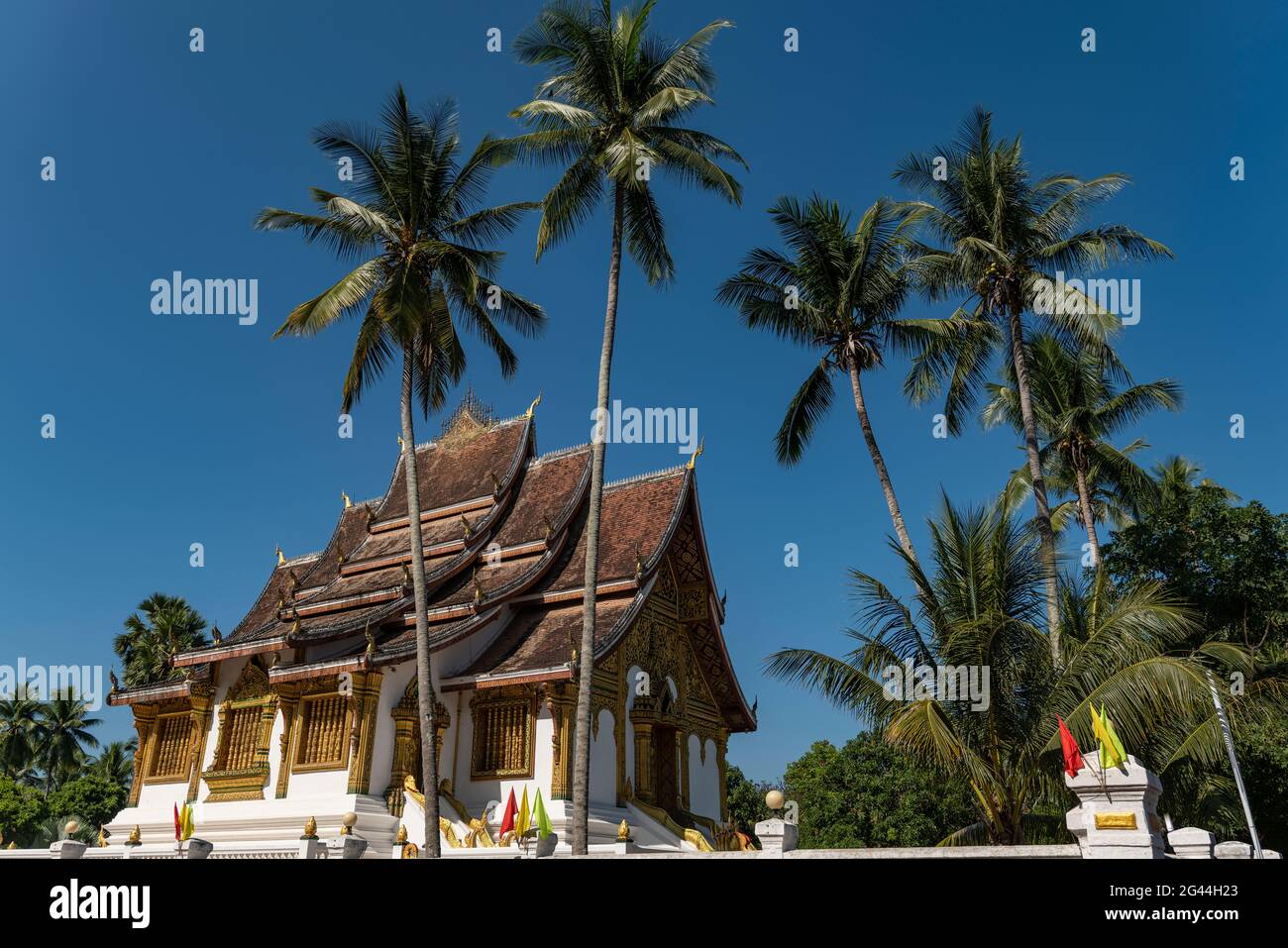 Coconut palms and roof of Haw Pha Bang (Royal Temple) next to the Royal ...