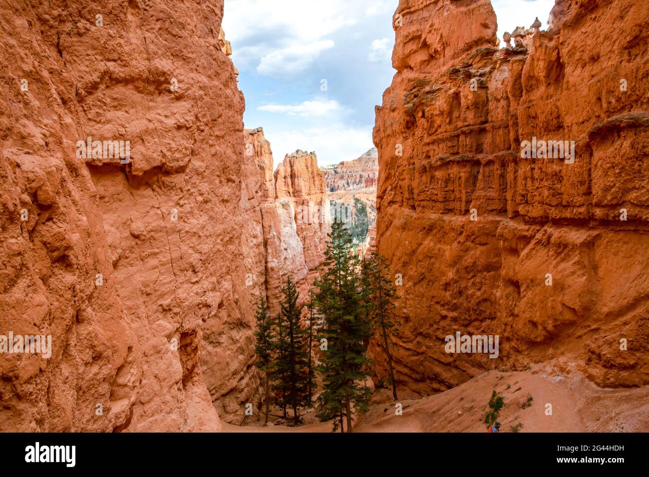 A natural rock formation of Red Rocks Hoodoos in Bryce Canyon National ...