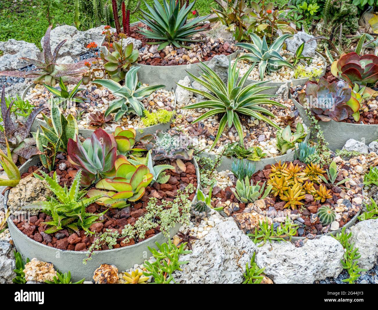 Back in nature hi-res stock photography and images - Alamy