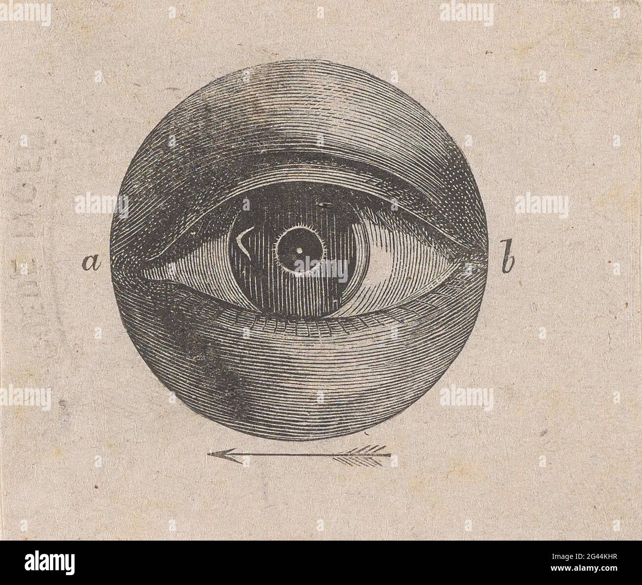 Eye deviation hi-res stock photography and images - Alamy