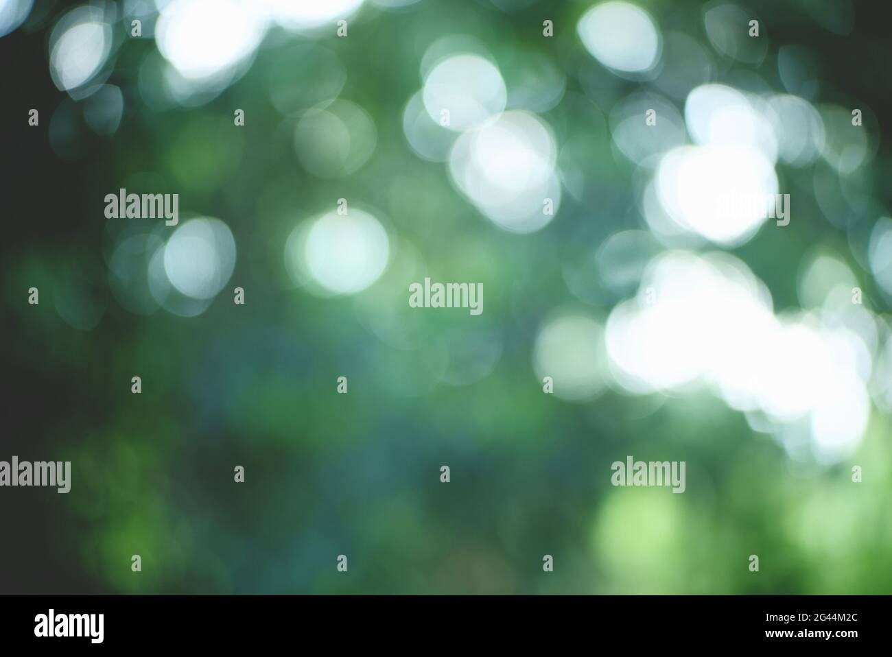 Creamy bokeh background hi-res stock photography and images - Alamy