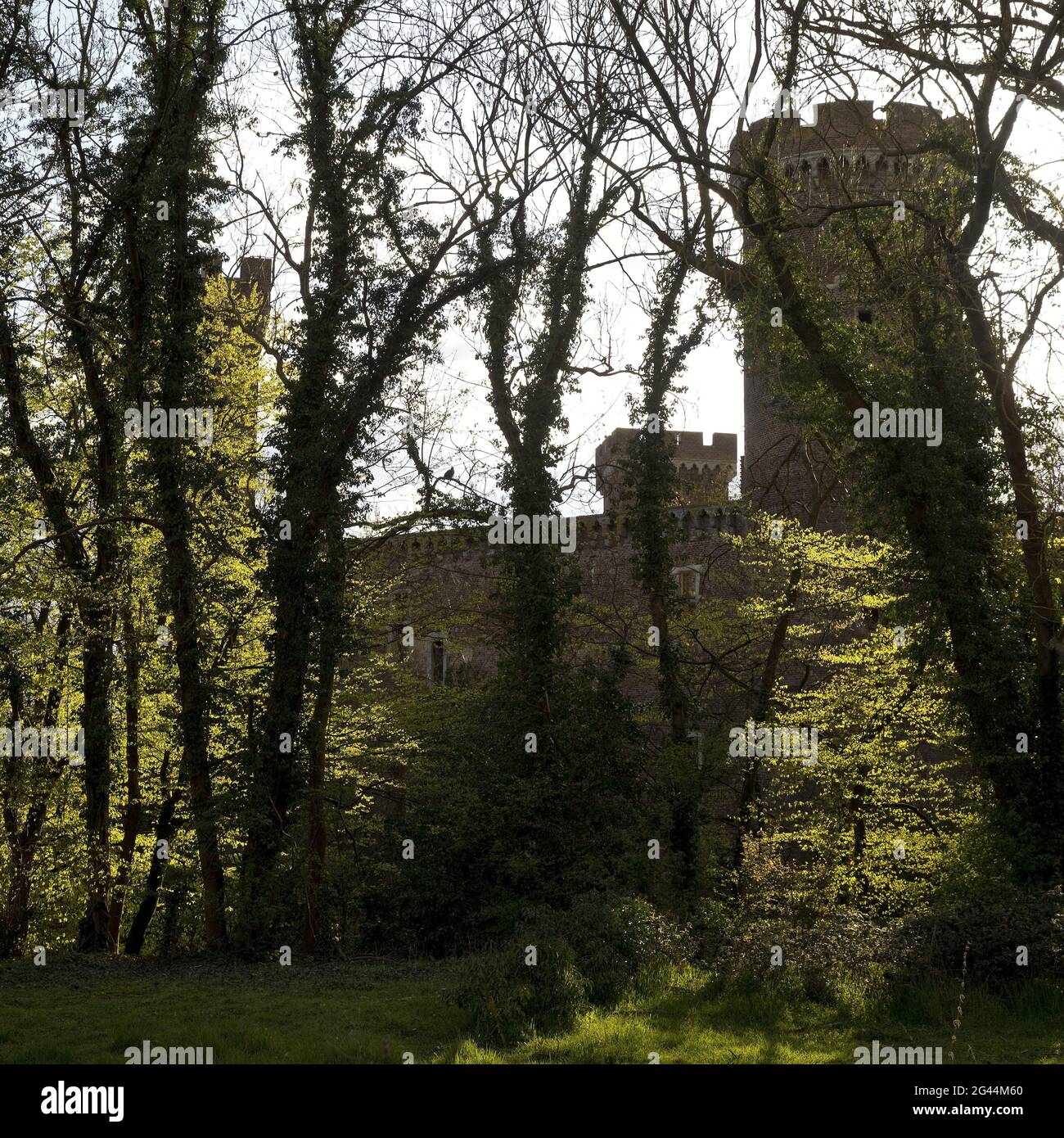 Erftstadt lechenich hi-res stock photography and images - Alamy