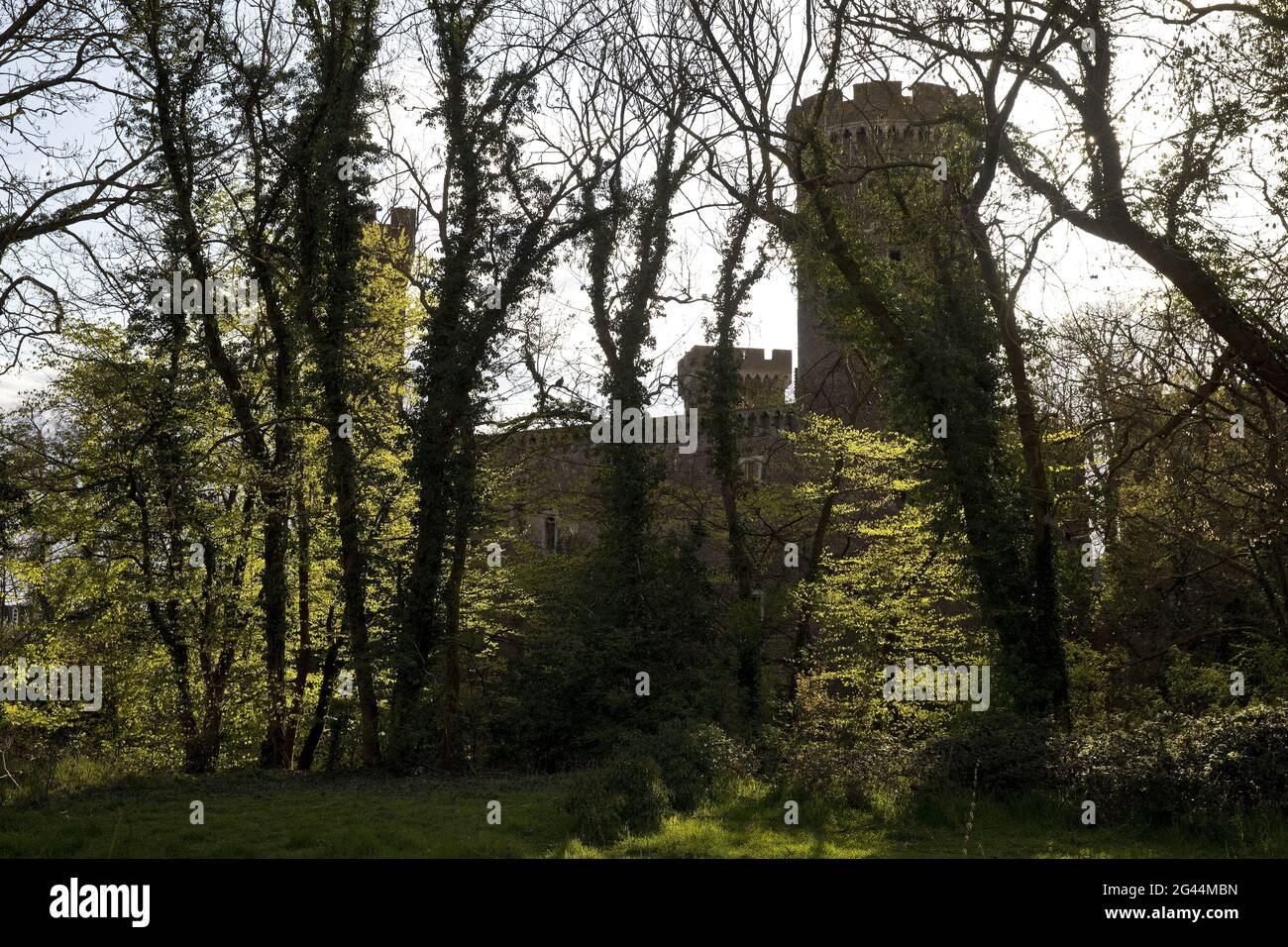 Erftstadt lechenich hi-res stock photography and images - Alamy