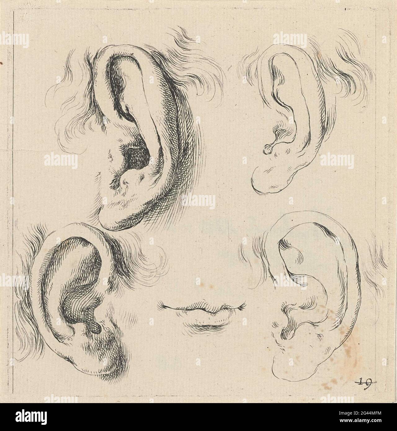 Four Ears and a Mouth; Examples for portraits; Collection of various ...