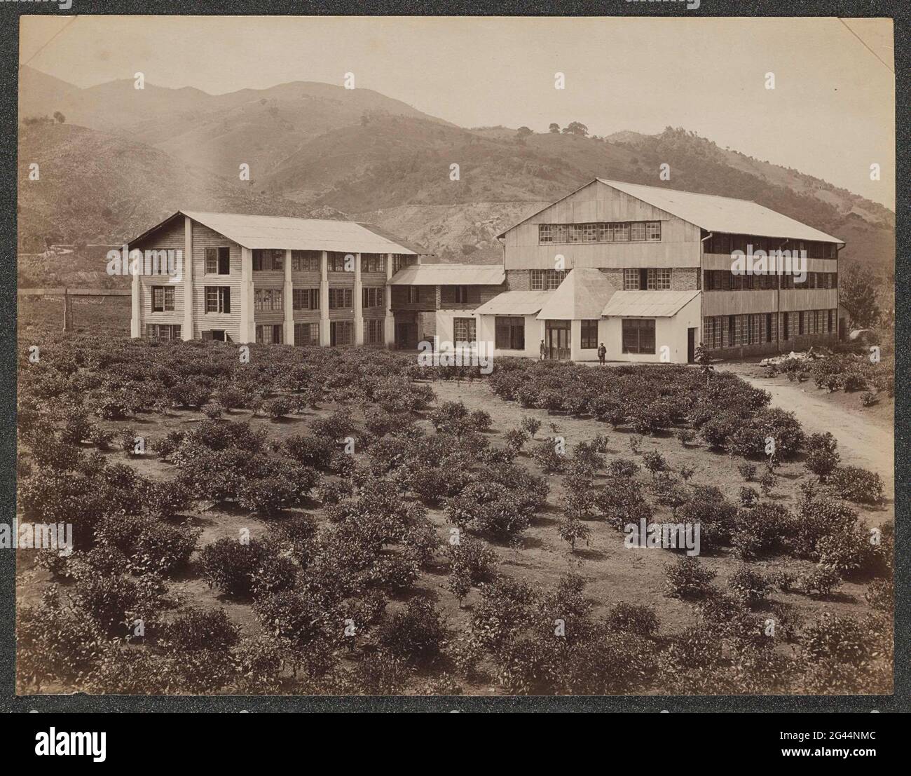 View of buildings and plantation of the Tea factory Peradeniya on ...