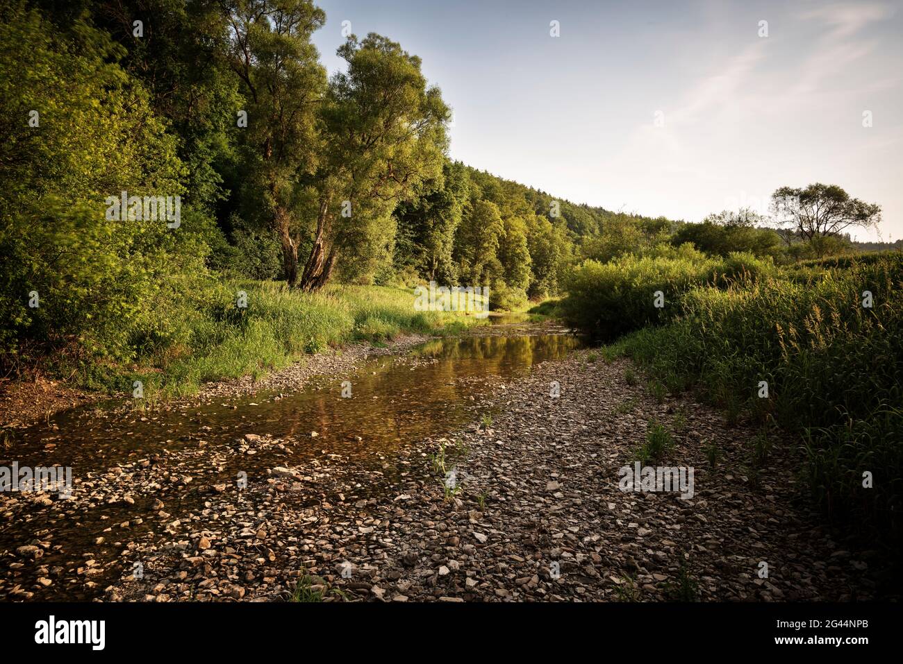 Natural phenomenon of the Danube infiltration between Immendingen and ...